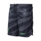 Shorts Nike Liverpool FC Goalkeeper Home Kit Shorts Stadium 2023-2024 Anthracite - Fútbol Emotion
