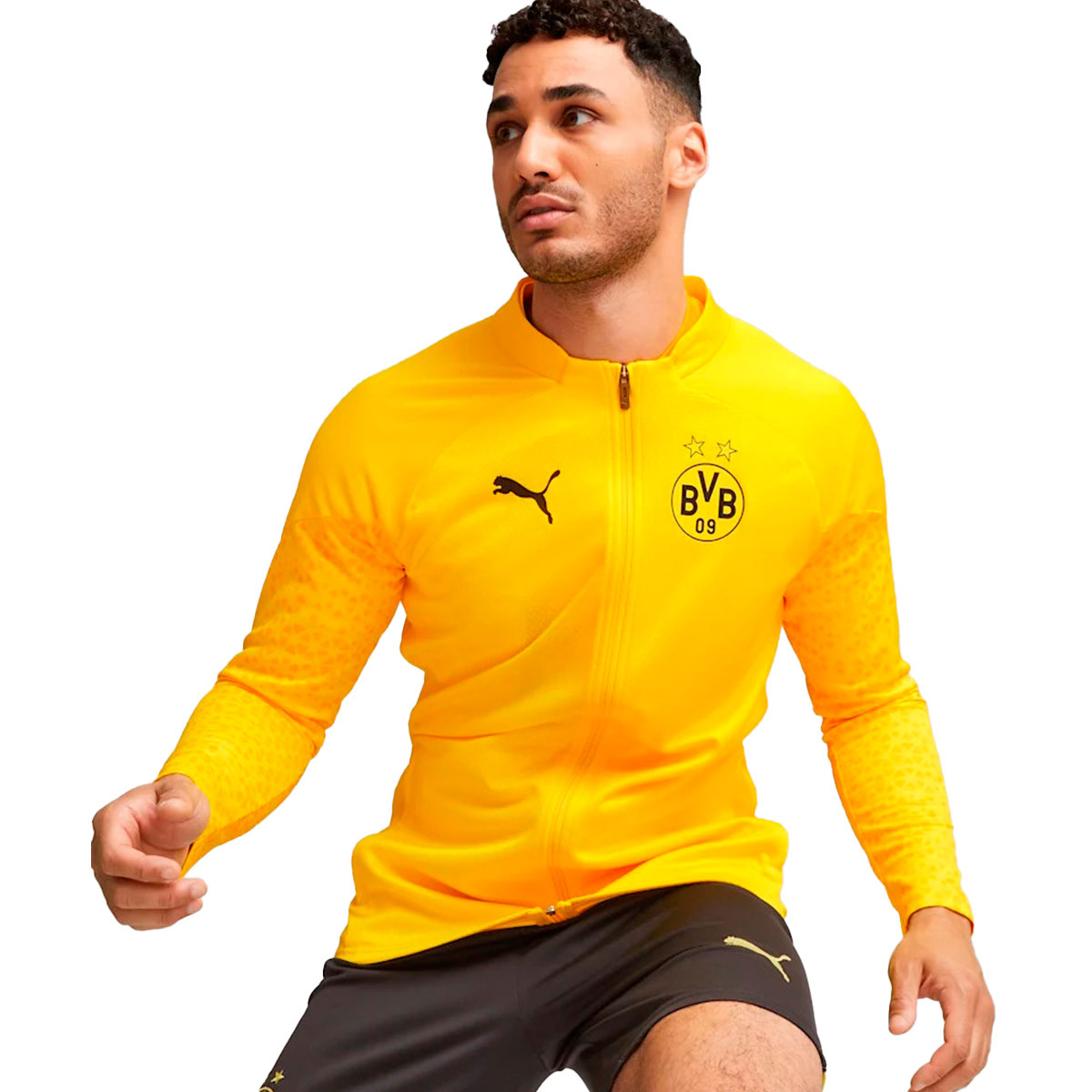 Jacket Puma BVB Borussia Training 2023-2024 Cyber Yellow-Black - Fútbol ...