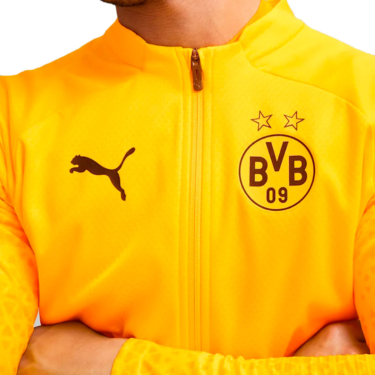 Jacket Puma BVB Borussia Training 2023-2024 Cyber Yellow-Black - Fútbol ...