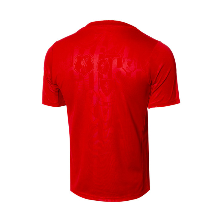 Camiseta Nike Liverpool FC Pre-Match 2024-2025 Gym Red-Chrome Yellow ...
