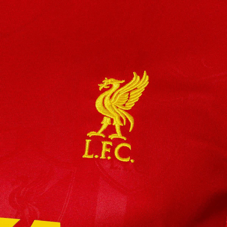 Camiseta Nike Liverpool FC Pre-Match 2024-2025 Gym Red-Chrome Yellow ...
