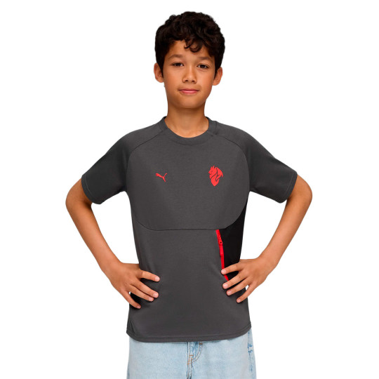 Camiseta Puma Ac Milan Fanswear 2025-2026 Niño Shadow Gray-For All Time ...